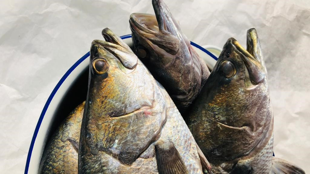 The Sampan Catch - Farm-fresh fish delivered within hours of harvest